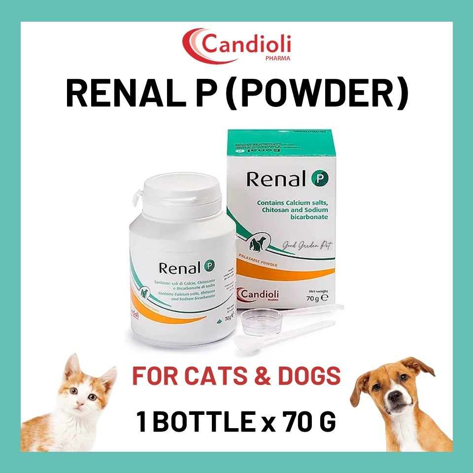 Renal P Powder 70g for adult dogs & cats (EXP: 03/2027) urinary tract ...