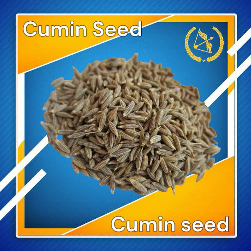 1kg CUMIN SEED /JINTAN PUTIH 99%/ Beat Quality / | Shopee Philippines