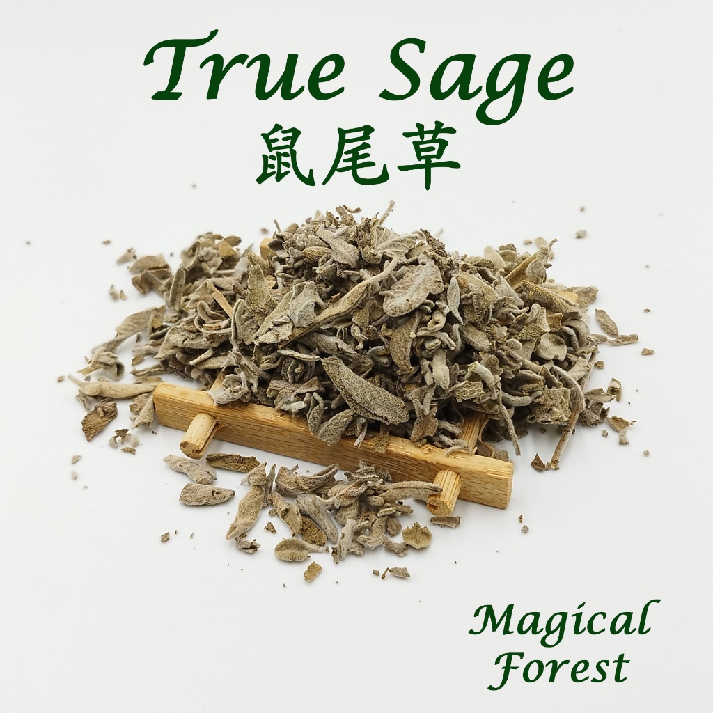 Sage leaves, Dried sage leaves, 鼠尾草, Daun sage, aura cleansing ...