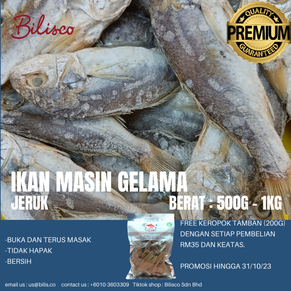 Wholesale Orange MASIN GELAMA Fish 500G /1KG | Shopee Philippines