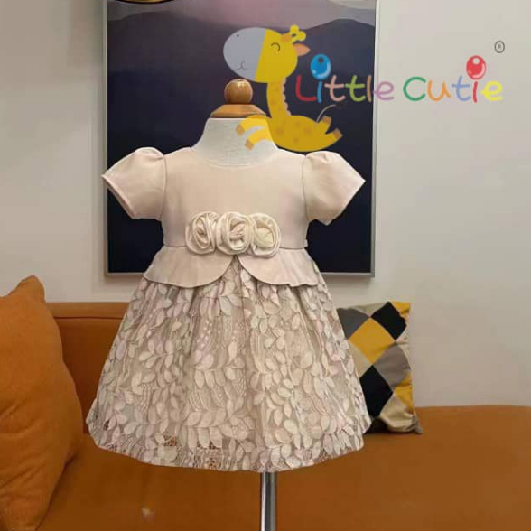 Little Cutie BGD60 Newborn Baby Girl Gown Baby Girl Lacey Dress (Gaun ...