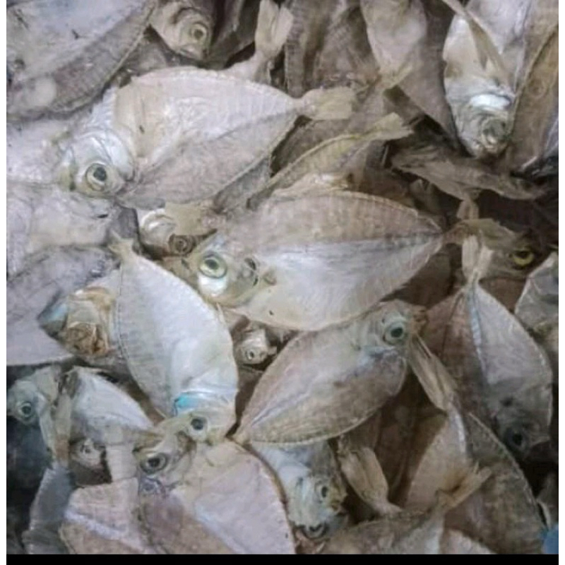 Fresh dried keke fish 1 kg | Shopee Philippines