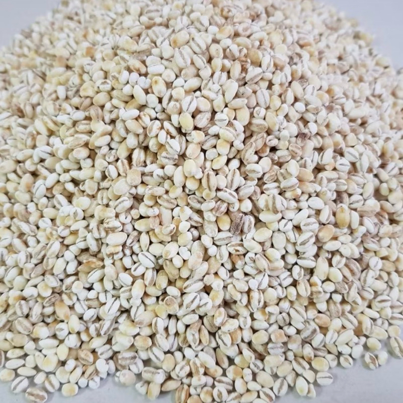 Barli Pearl Barley Beras Barli Putih Hordeum vulgare Herbal Care 500G ...