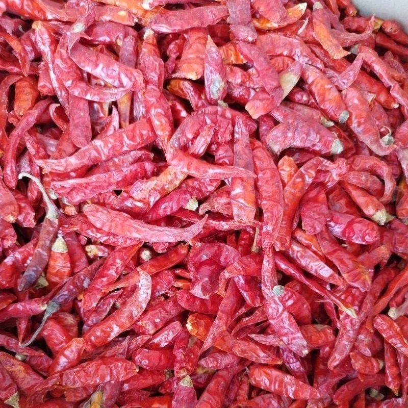 Cabai Kering Siam 1kg | Shopee Philippines