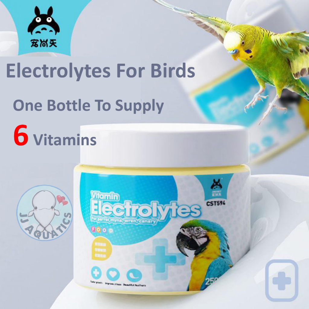 Jonsanty Electrolyte Vitamins For Parrots Bird Healthcare Love Birds ...