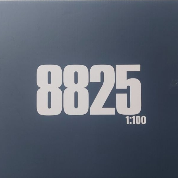 Wing EW Flying Wing EW 1/100 Model 8825 HiRM Daban Model Kit Taipan ...