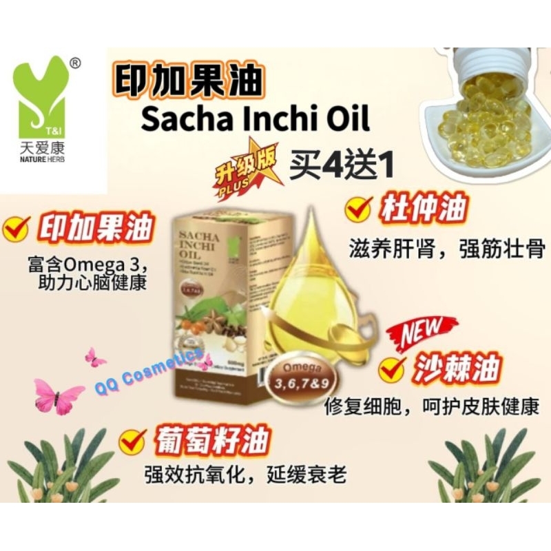 T&I Sacha Inchi Oil-Rich in 3,6,7&9, Lowers Cholesterol, Supports Heart ...