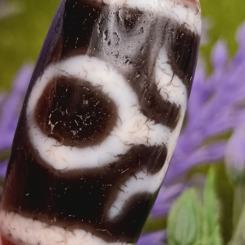 27.3mm X 13mm Noble Dzi Dzi Adult Dzi Monseigneur Dzi Aristocrat Dzi ...