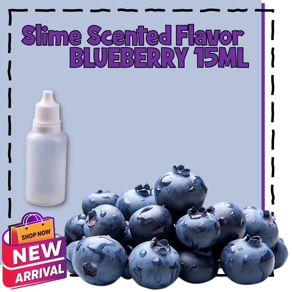BLUEBERRY 15ML SLIME SCENTED FLAVOR ESSENCE DIY SLIME SMELL GOOD ...