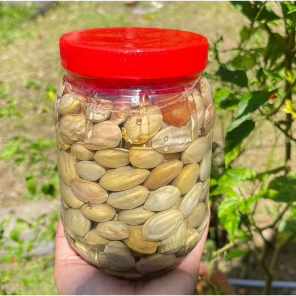 1KG PETAI ORANGE KRUP KRAP ORANGE PETAI HOMEMADE FRESH (SINGLE WATER ...