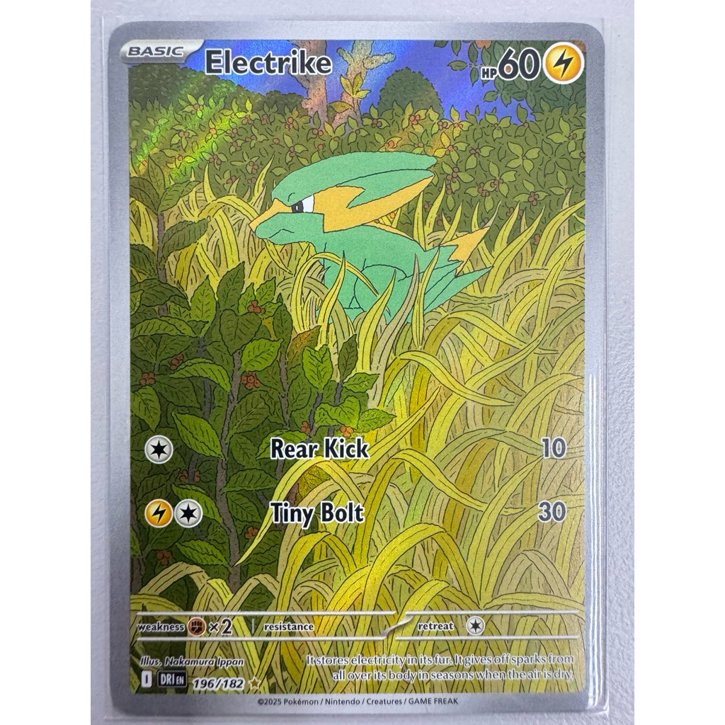 Electric type - Pokemon card - Electrike 196/182 | Shopee Philippines