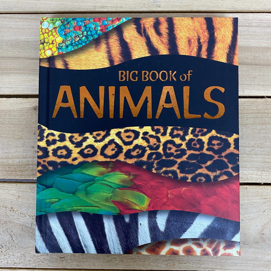 General Knowledge for Children : Big Book of Animals (Preloved ...