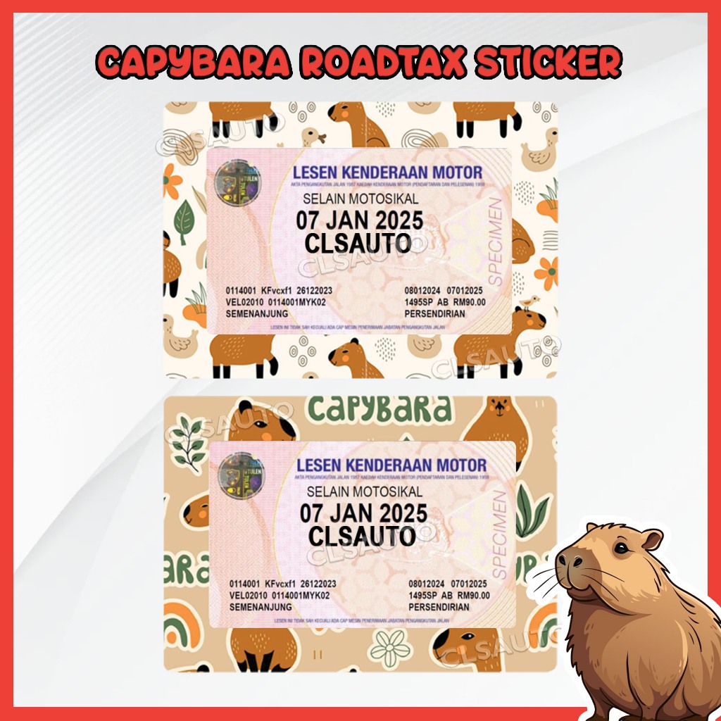 ROADTAX Car Sticker Capybara Cute Cartoon Accessories (ROADTAX Not ...