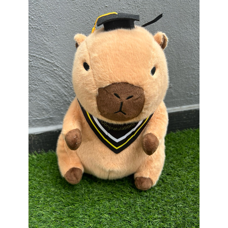 Graduation Capybara Bachelors Uniform Capybara plushy Doll 35cm/45cm ...