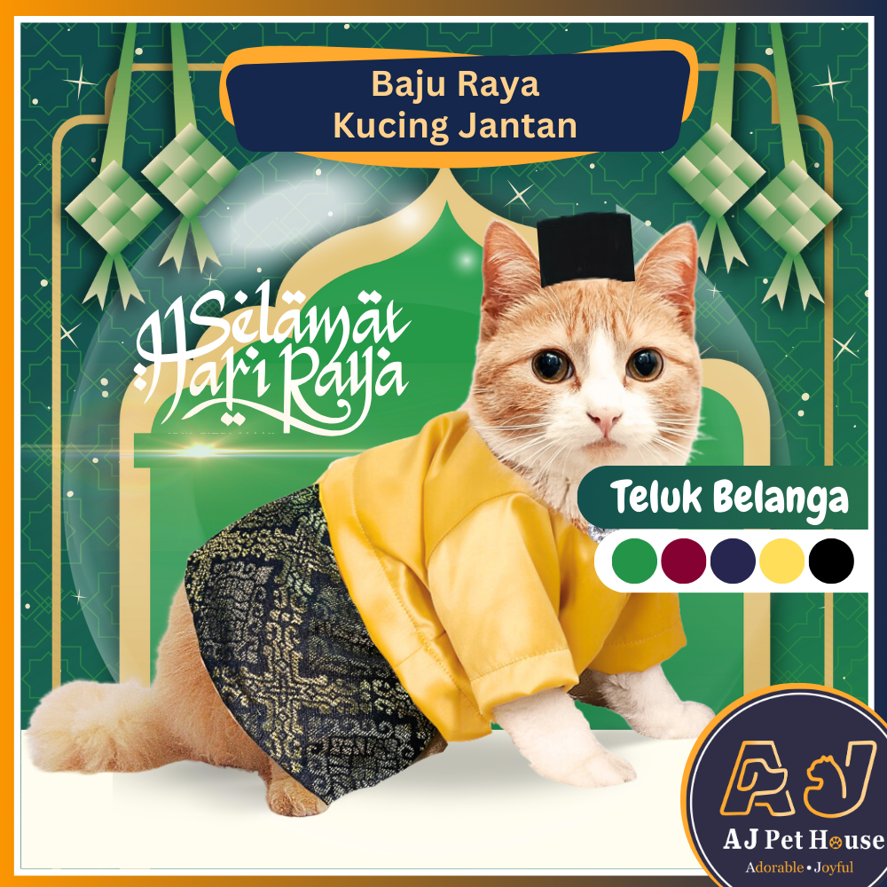 Ajpet Baju Raya Male Cat Teluk Belanga Songket Baju Melayu Cat 2025 ...