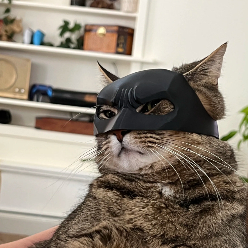 Batman Cat Mask 3D print (customizable name printed on mask) | Shopee ...