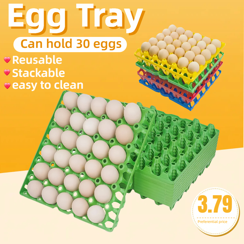 Egg Tray Plastic Egg Storage Bekas Telur Tray Telur Crates 30 Eggs Tray ...