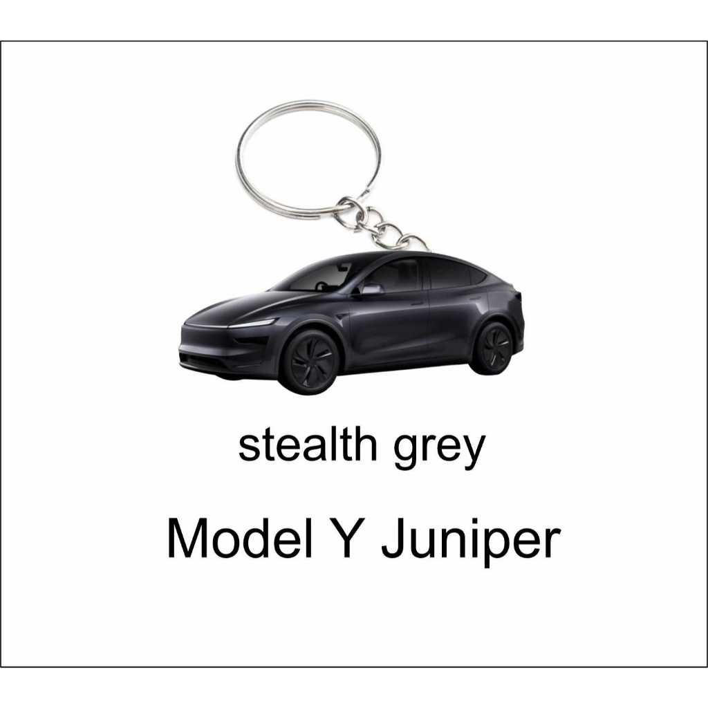 2025 Tesla Model Y Juniper 2d keychain | Shopee Philippines