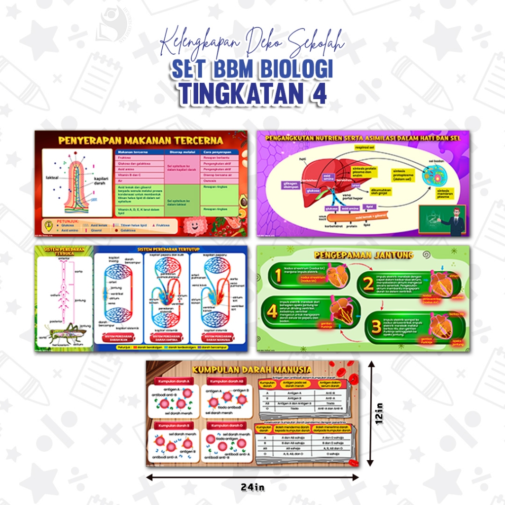 1 DAY SHIP SET SEX BIOLOGY BANNER. Overcoming (LE 4) - TOOLS FOR ...