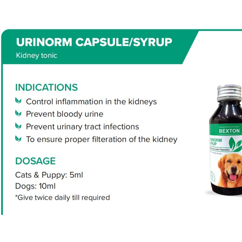Bexton Urinorm (100ml) Urine Kidney Diuretic Nephro | Shopee Philippines