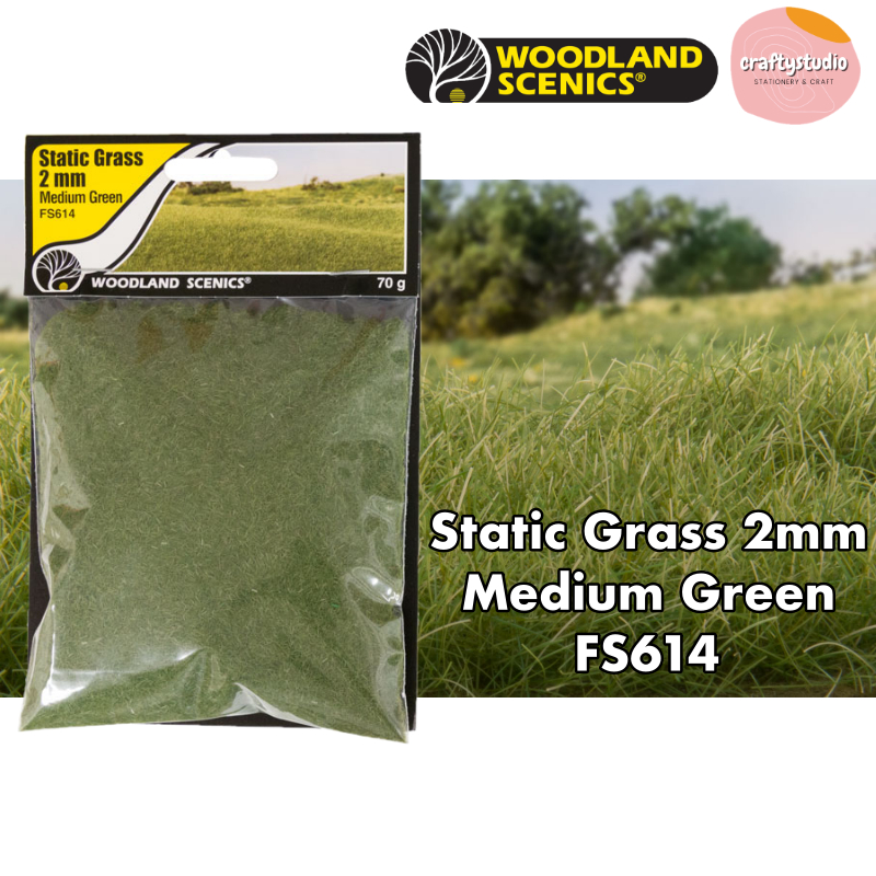 Woodland Scenics 2mm Static Grass Light Green FS614, Architecture Model ...