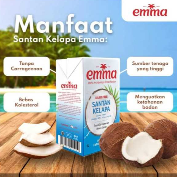 Emma Coconut Milk Coconut Milk Coconut Milk 200ml | Shopee Philippines