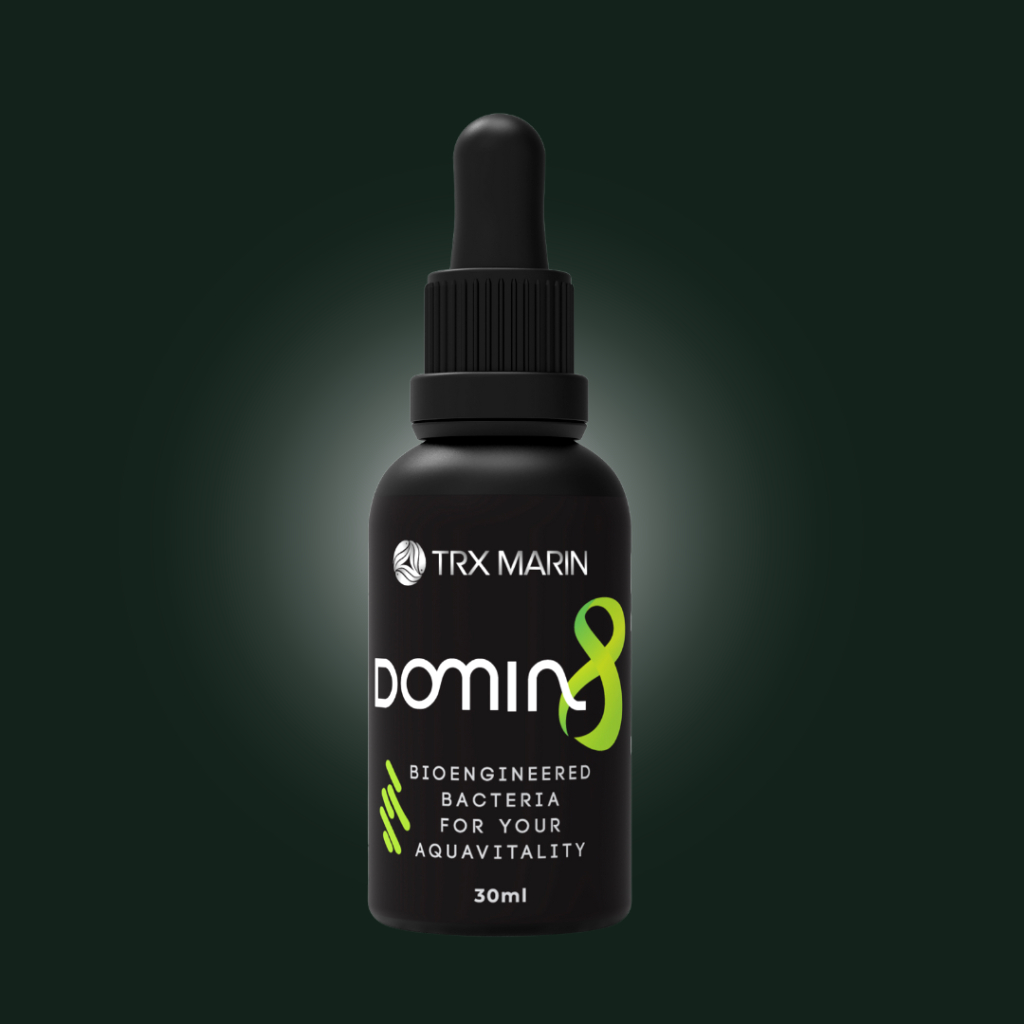 DOMIN8 BACTERIA CLEAR WATER FAST AQUARIUM BACTERIA NITRIFYING BACTERIA ...
