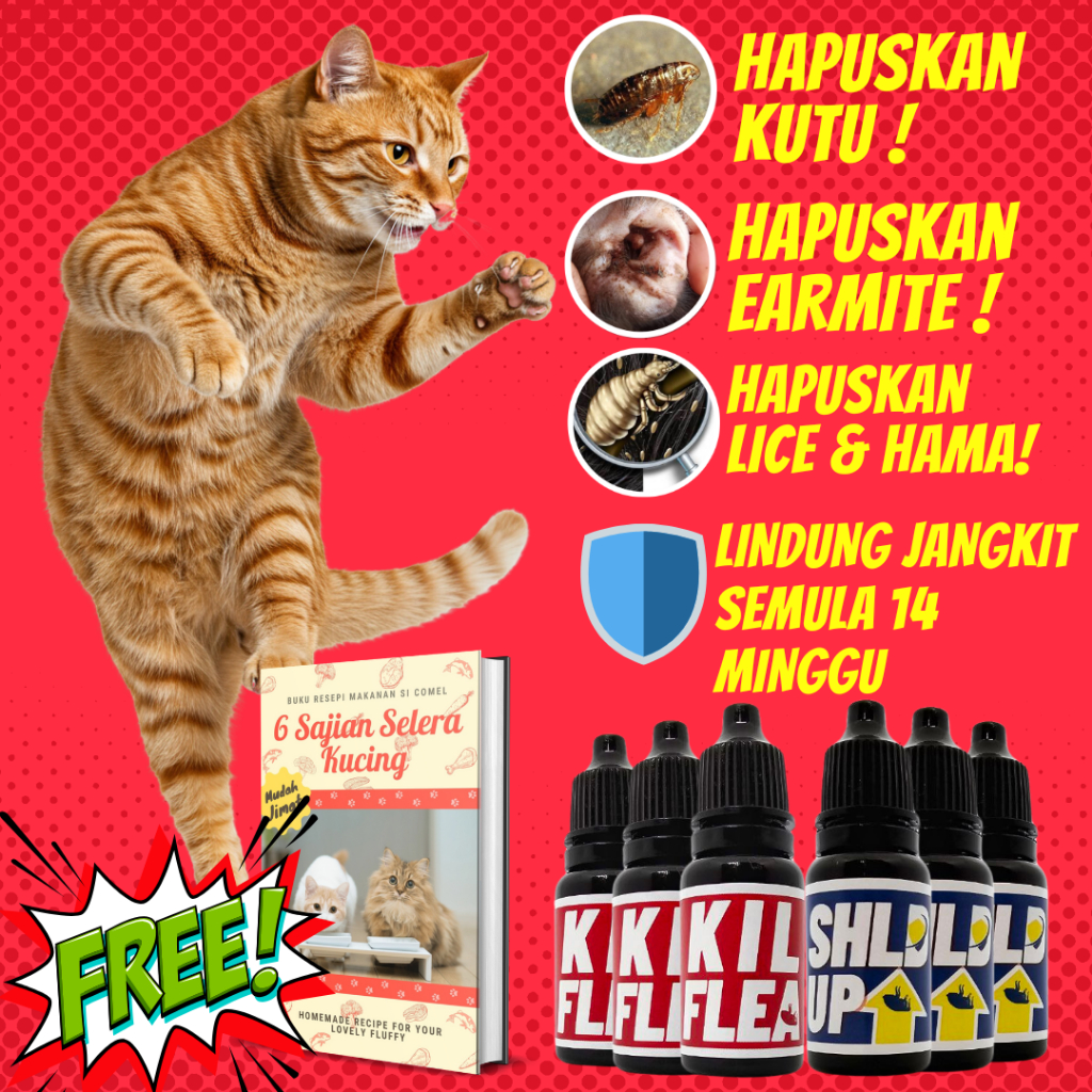 Cat Flea Medicine Flea Eggs Earmites And Parasite Meow Kilflea Combo 24 Hour Sepantas Effect