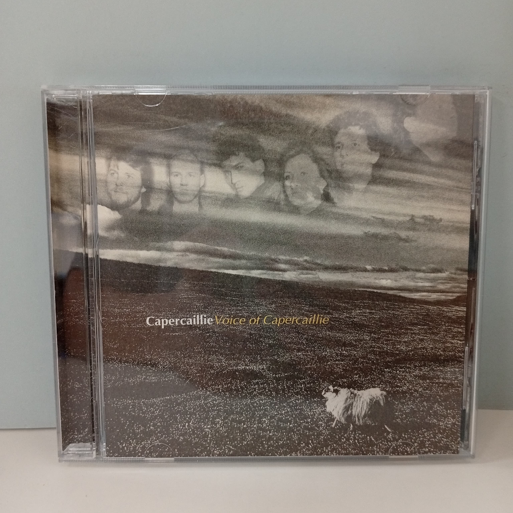 U306-14 CD TERPAKAI [ CAPERCAILLIE - VOICE OF CAPERCAILLIE ] USED CD U306-14 | Shopee Philippines