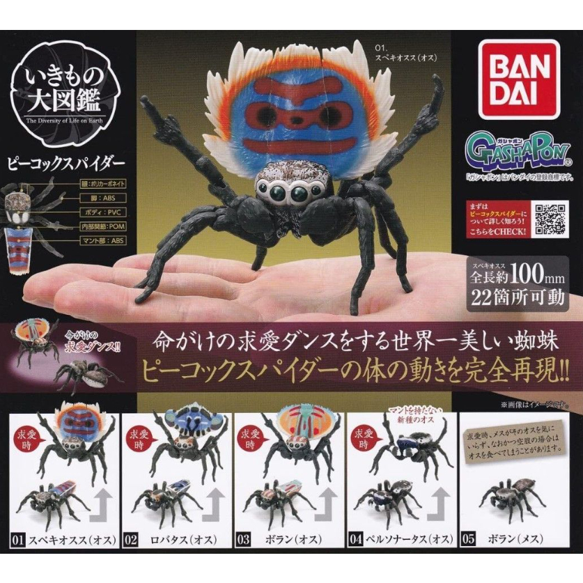 Bandai Gashapon Dango Mushi Peacock Spider - Maratus Lobatus | Shopee ...