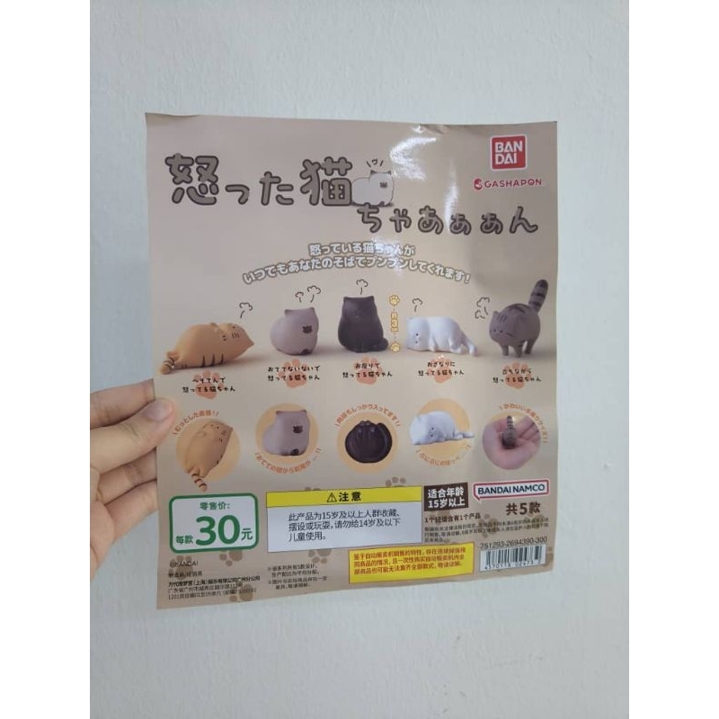 Cute Angry Cat Gachapon Capsule Toys | Shopee Philippines