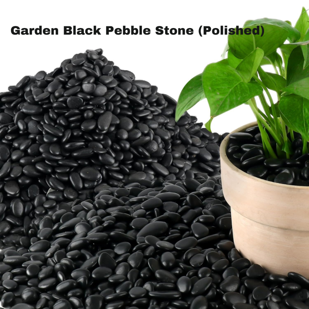 Garden Black Pebble stone Decorative Stones Dressing for Vases Planters ...