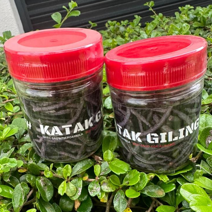Katak Giling HighFin Booster Pellet Frog Pellet | Shopee Philippines