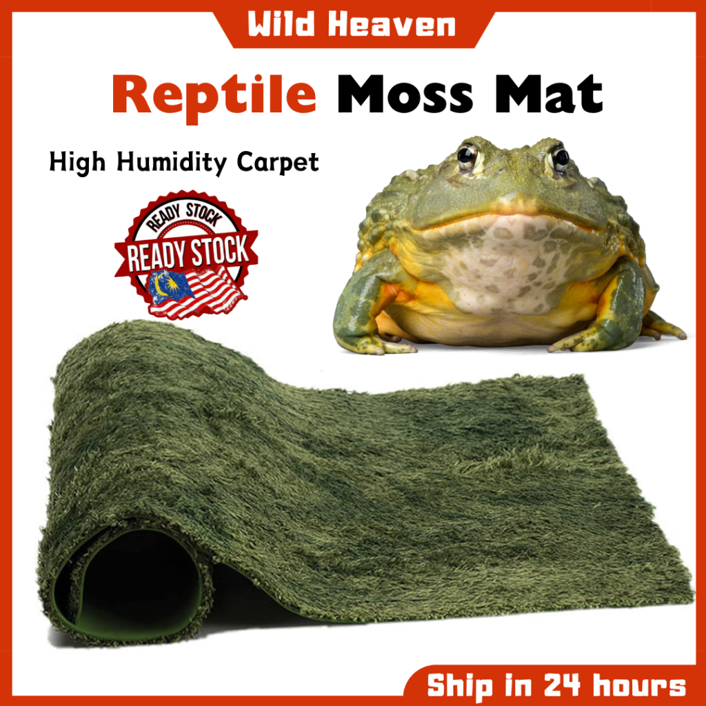 Frog Moss Carpet Pacman Frog Mat High Humidity Substrate Reptile ...
