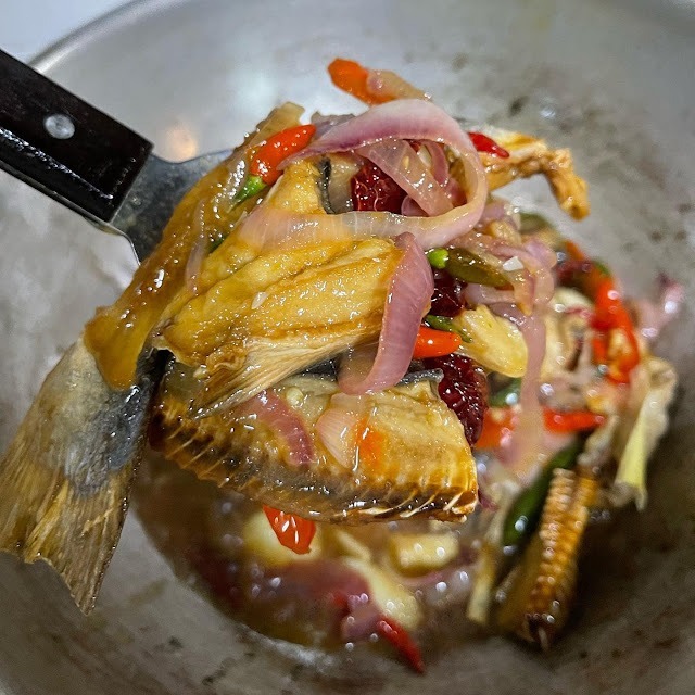 Duri FISH (NOT MASS) | Shopee Philippines