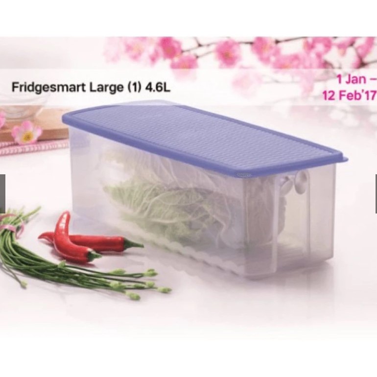 Tupperware FridgeSmart Large 4.6L (1) | Shopee Philippines