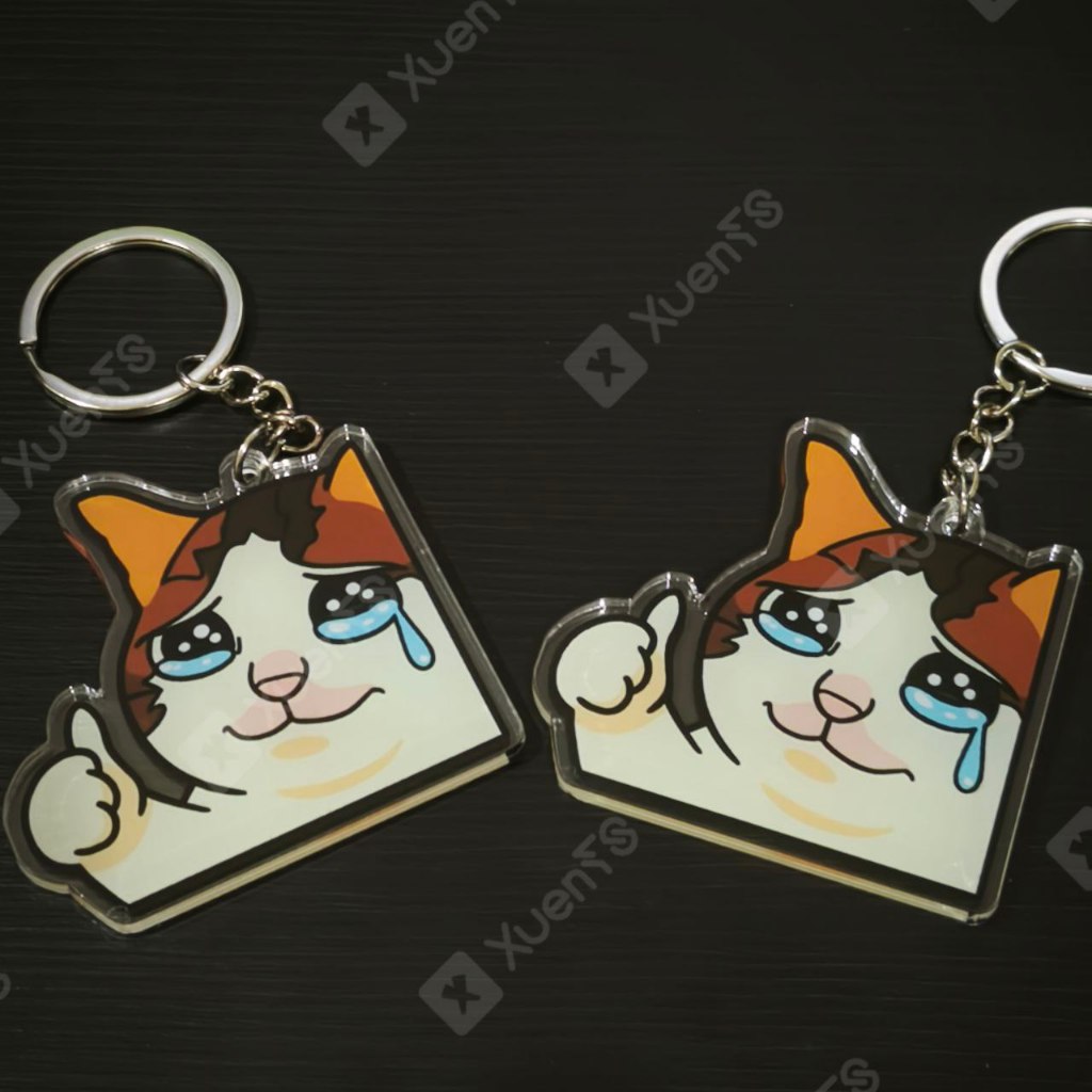 Crying Cat Meme Acrylic Keychain Double Sided Double Layer Cartoon ...