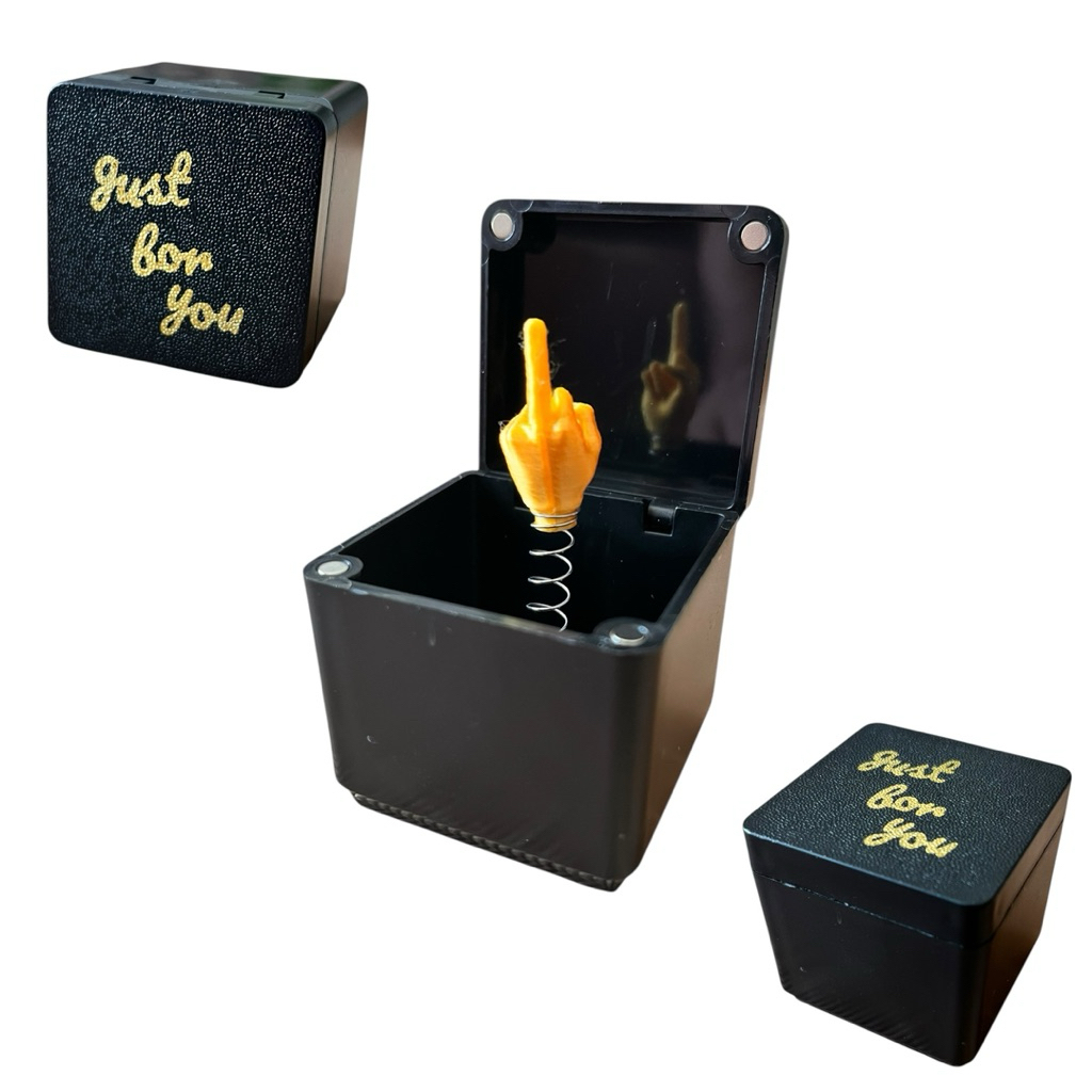Novelty Funny Middle Finger Box | Shopee Philippines