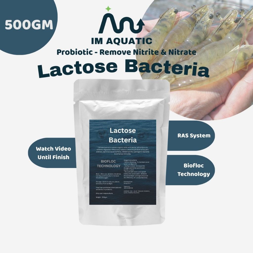 Lactose Bacteria Probiotic for Aquaculture Biofloc 500gm | Shopee ...