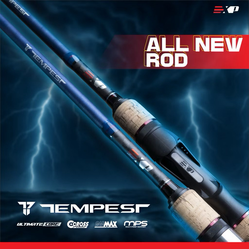 EXP TEMPEST 2 PCS Fishing Rod Medium Heavy Weight Bait Casting BC ...