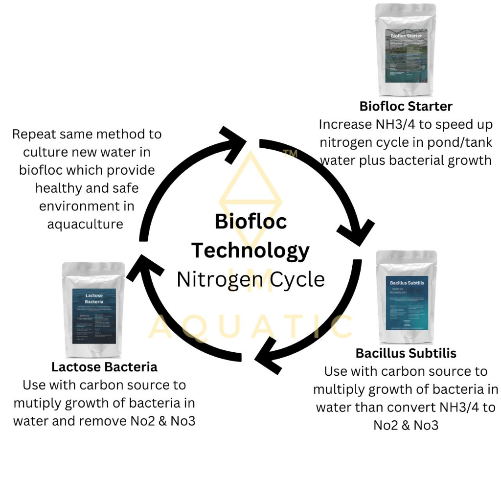 Biofloc Starter Water Setup 500GM | Shopee Philippines