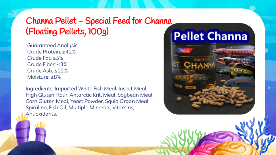 Qiuyu Channa Pellet//Pellet Channa High Protein For 5-6inch+ 秋羽雷龙饲料 ...