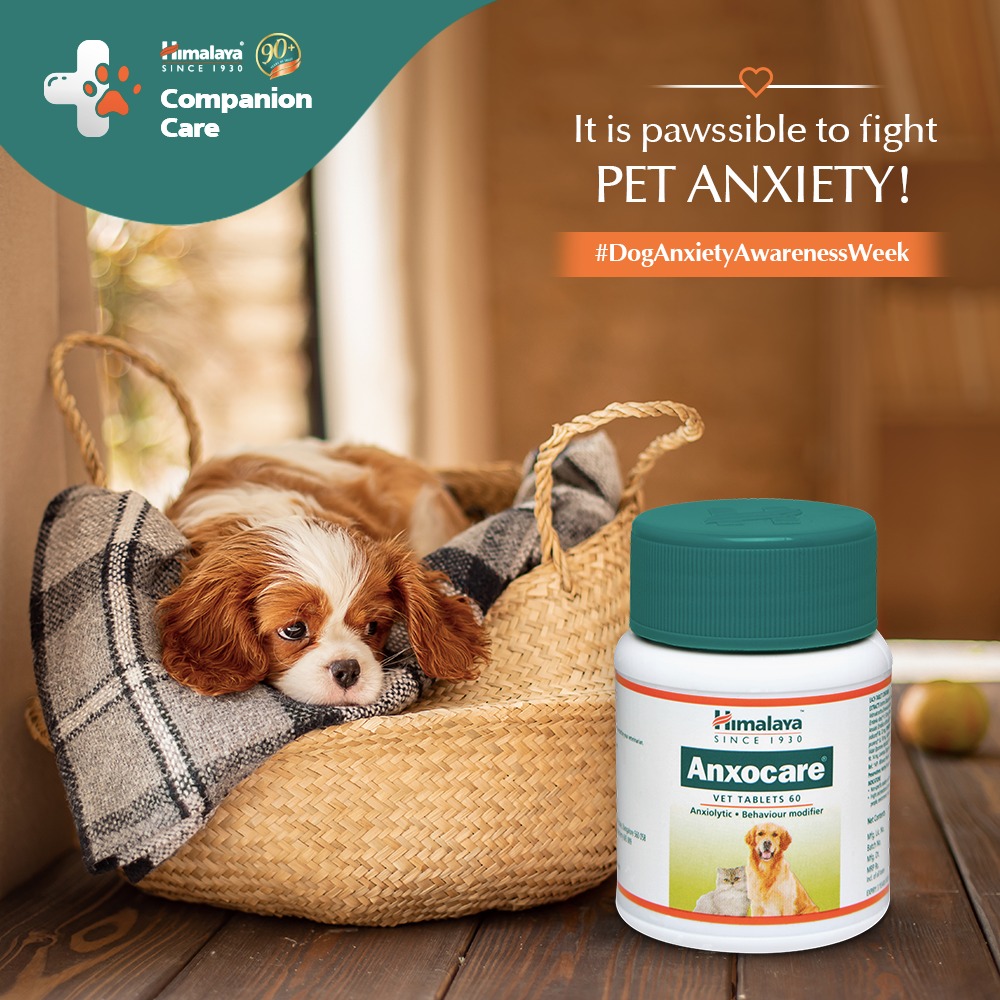 HIMALAYA Anxocare VET Tablets 60 (Cats, Dogs) | Shopee Philippines