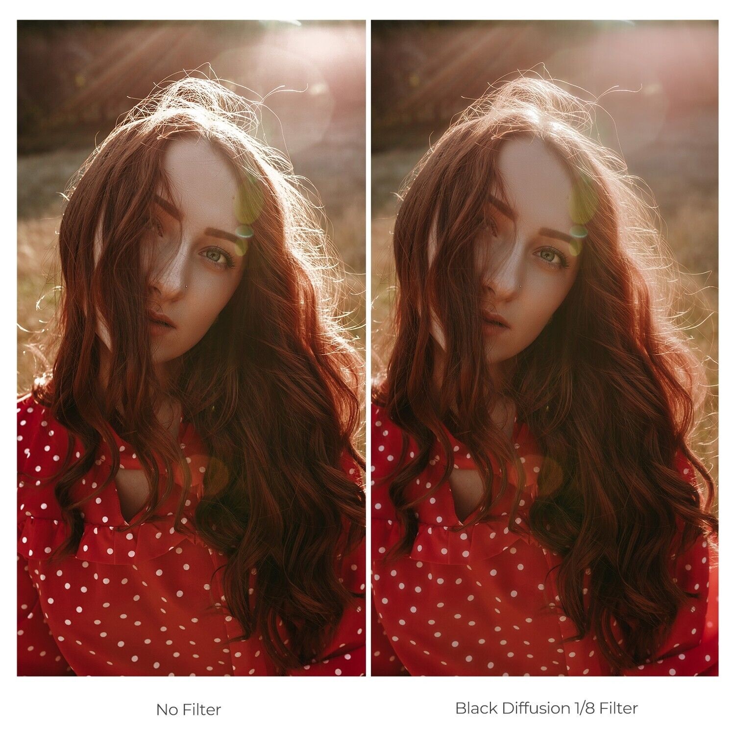 K&F Concept Nano-A Series Black Mist Diffusion Lens Filter MC Lens ...