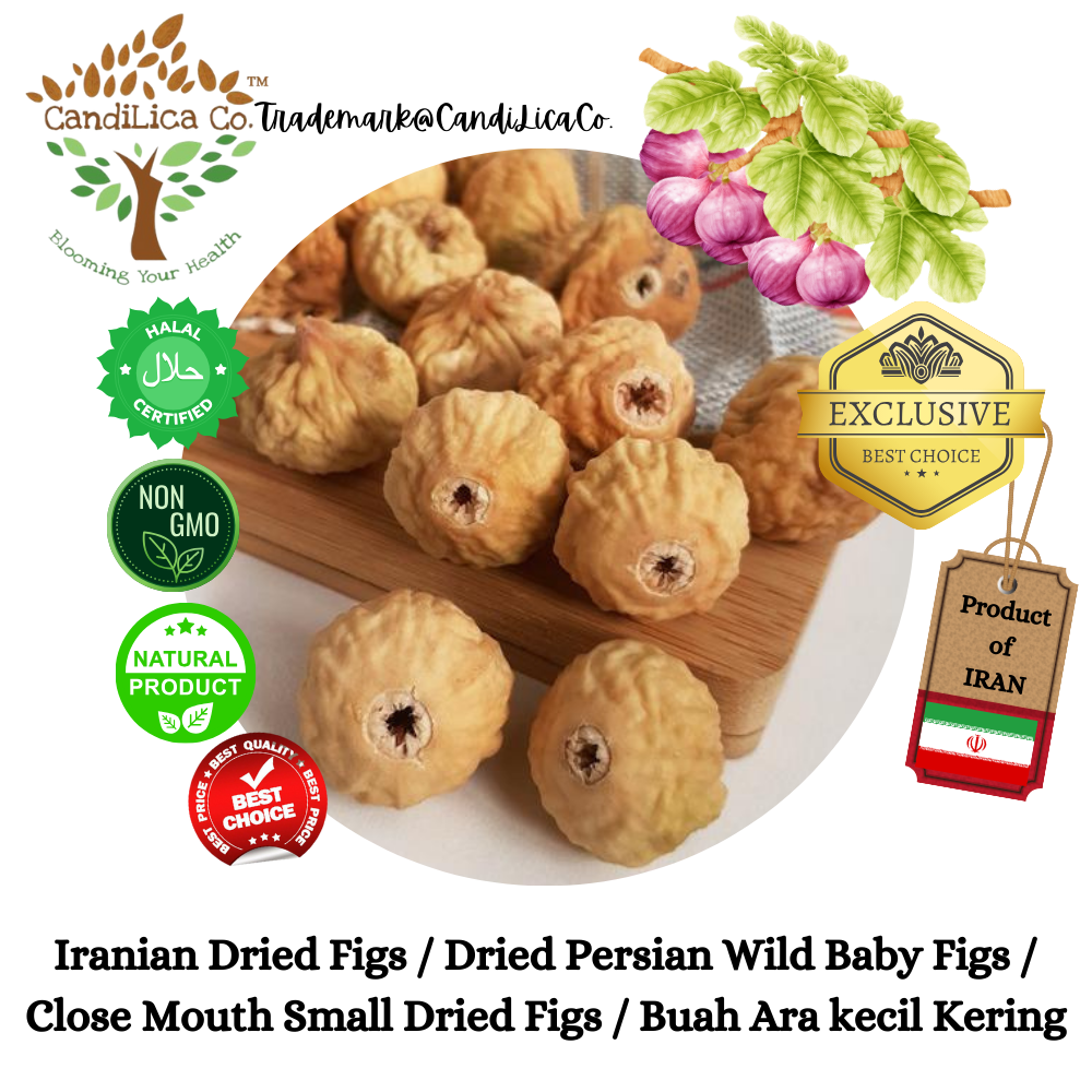 Dried Baby Figs Buah Ara Kering 无花果干 – CandiLica Co. – Product of Iran ...