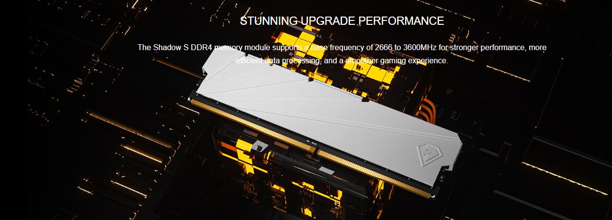 Netac SHADOW S WHITE DDR4 16GB / 8GB 3200MHZ PC3200 Performance Desktop ...