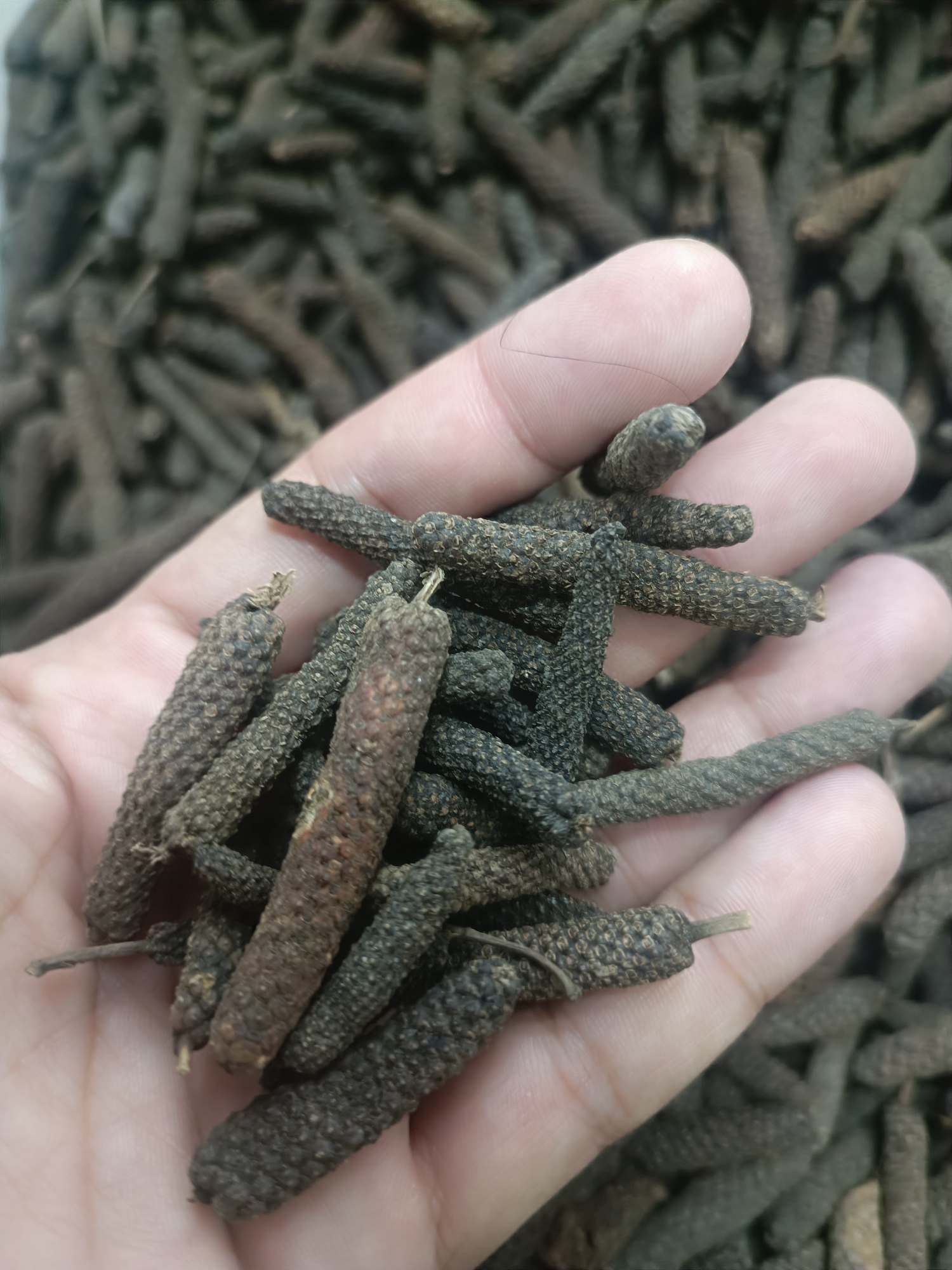 Javanese Pepper Flower Spices Chili Indian Long Pepper (100g/250g ...