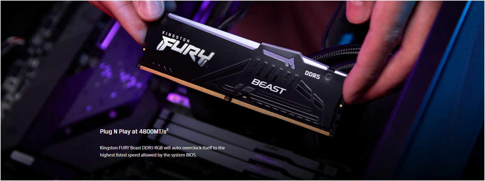 Kingston FURY Beast RGB DDR5 (5200MHz/6000MHz) CL36 Desktop PC Gaming ...