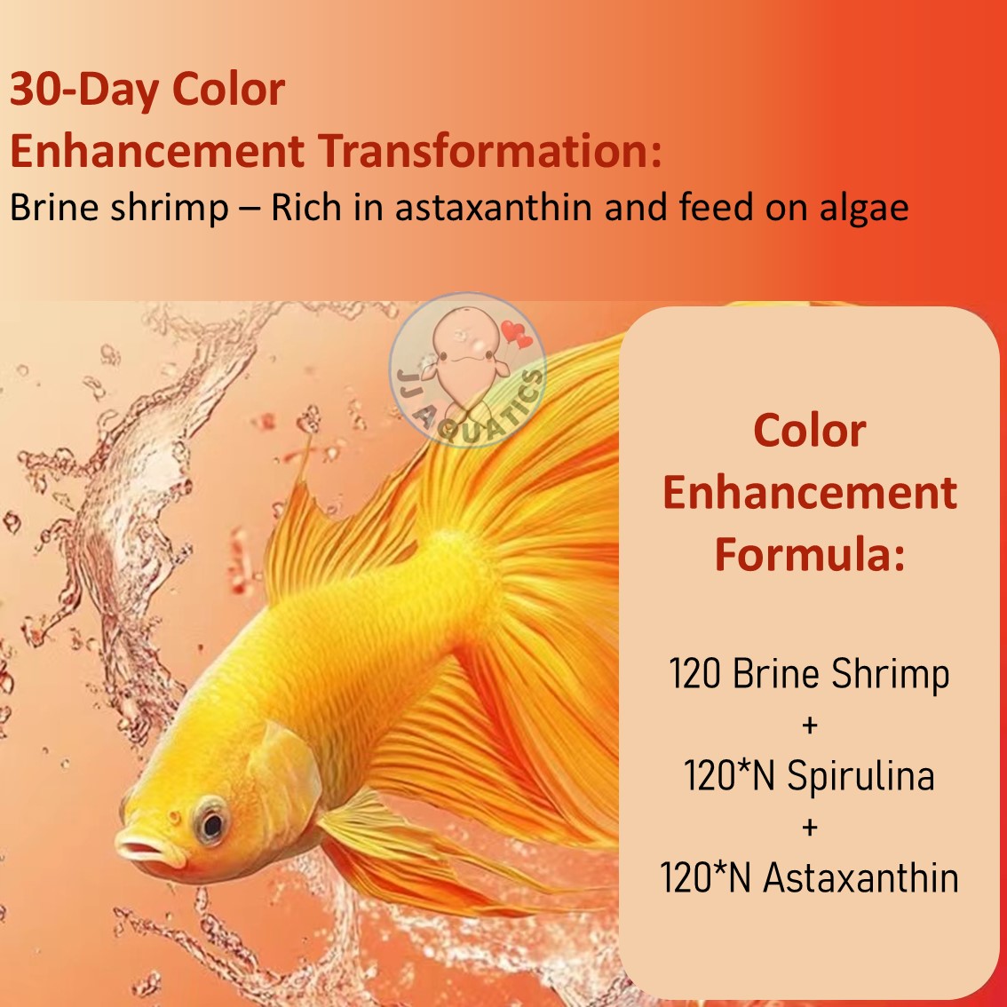 YEE Super Nutrition Bloodworm Dried Brine Shrimp Artemia Cube 60% High ...