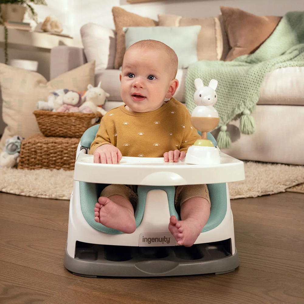 Ingenuity Baby Base 2 in 1 Seat | Shopee Philippines